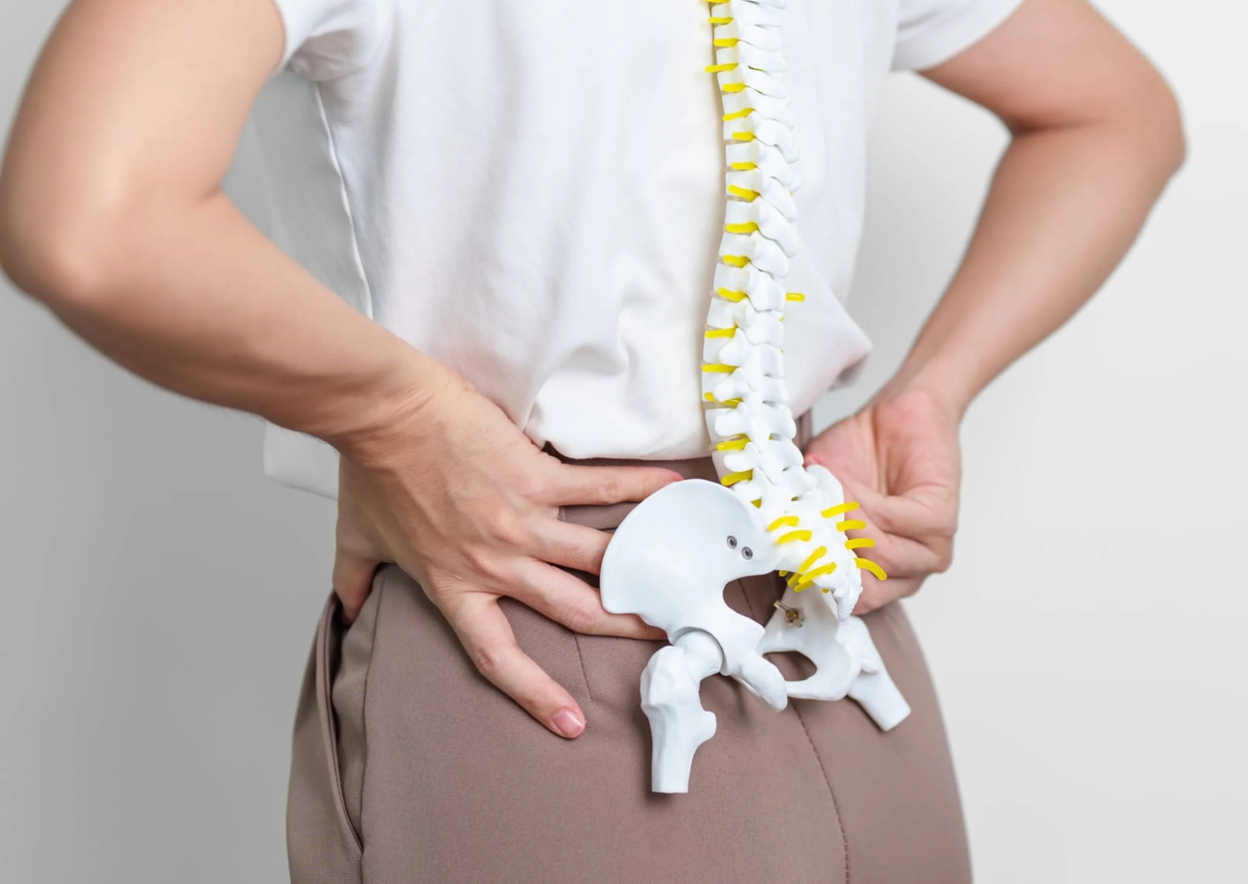 Tumor De Ressonancia Magnetica Da Coluna Lombar